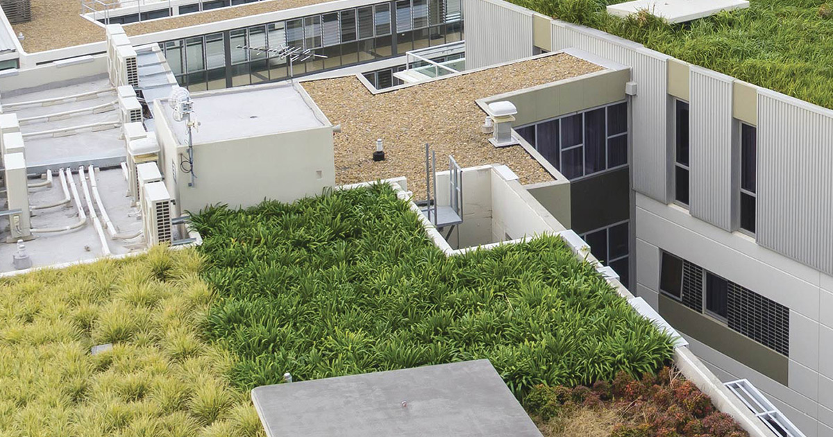 Vigorplant, green professionals: landscapes. | Vigorplant Terricci